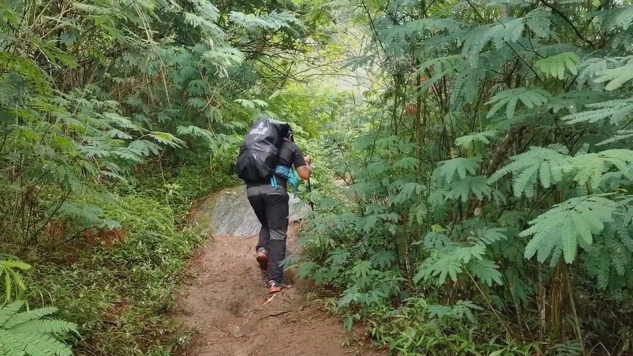 Gunung Manglayang: Daya Tarik, Jalur Pendakian, Tiket Masuk, hingga Tips Pendakian