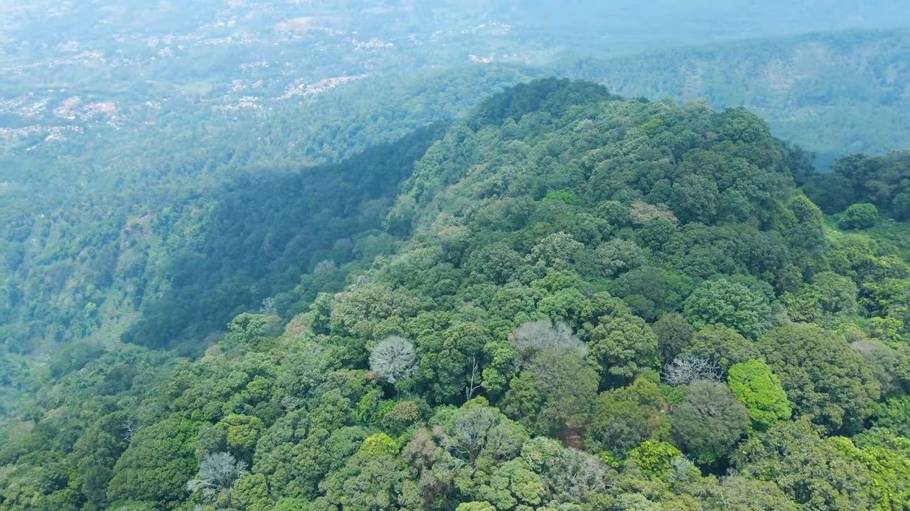 Gunung Manglayang: Daya Tarik, Jalur Pendakian, Tiket Masuk, hingga ...