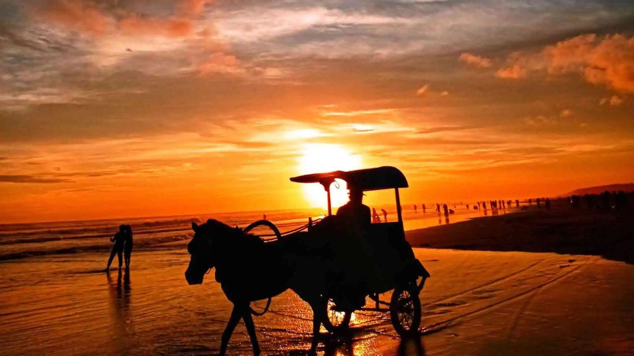 Pantai Parangtritis: Daya Tarik, Lokasi, dan Cara Menuju